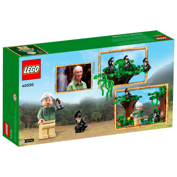 LEGO 40530 Jane Goodall Tribute (GWP) : le set est en ligne sur le Shop ...