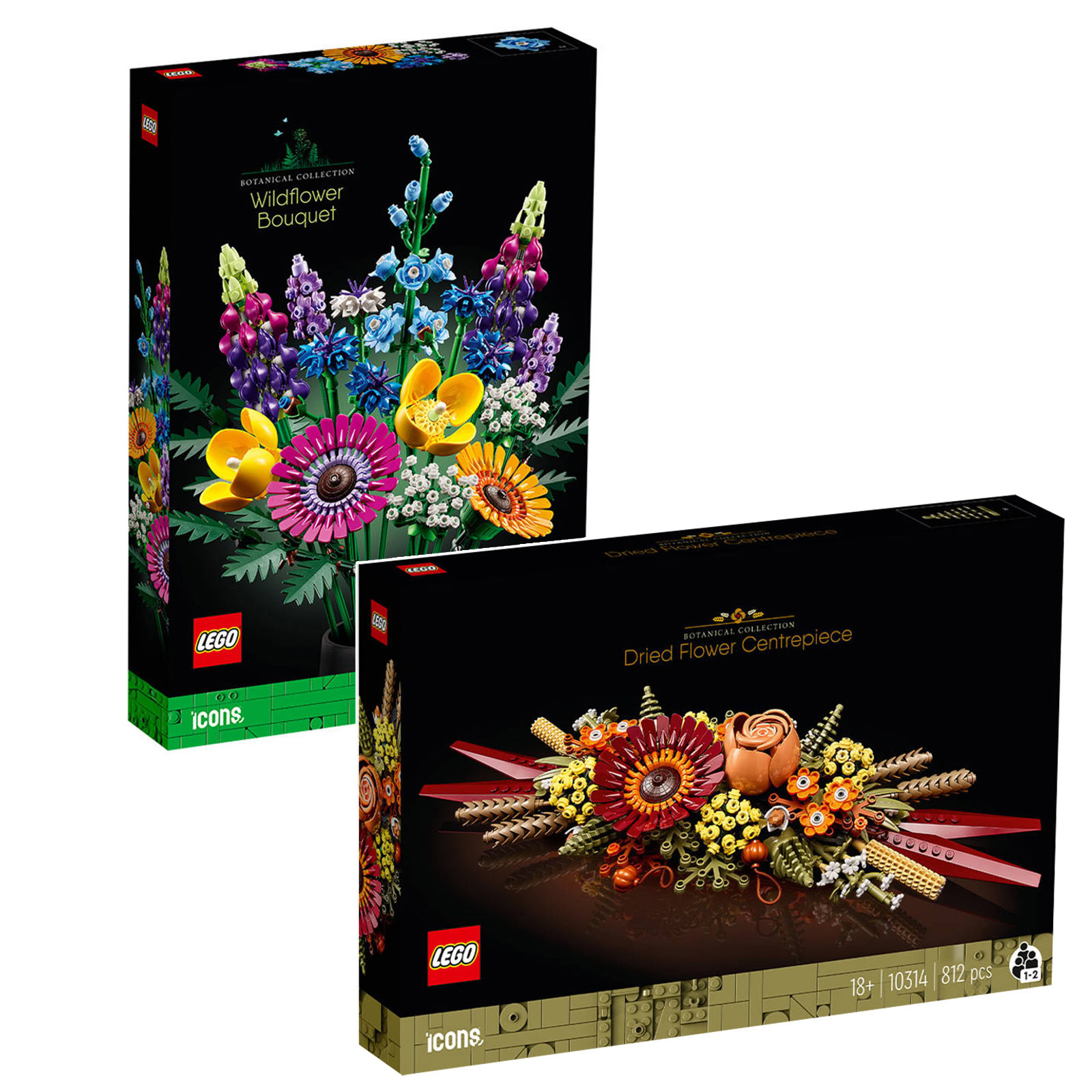 Nouveautés LEGO ICONS Botanical Collection de février 2023 : les ...