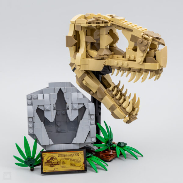 Très vite testé : LEGO Jurassic World 76964 Dinosaur Fossils : T-rex ...