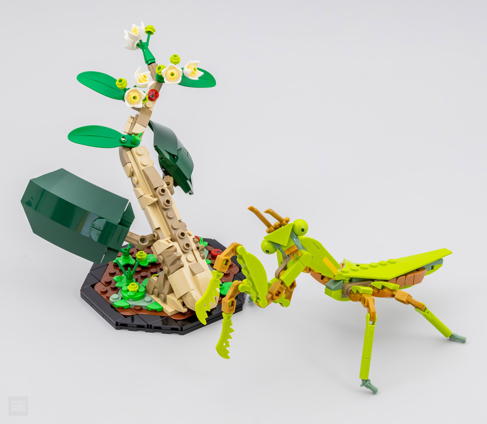 Très vite testé : LEGO IDEAS 21342 The Insect Collection - HOTH BRICKS
